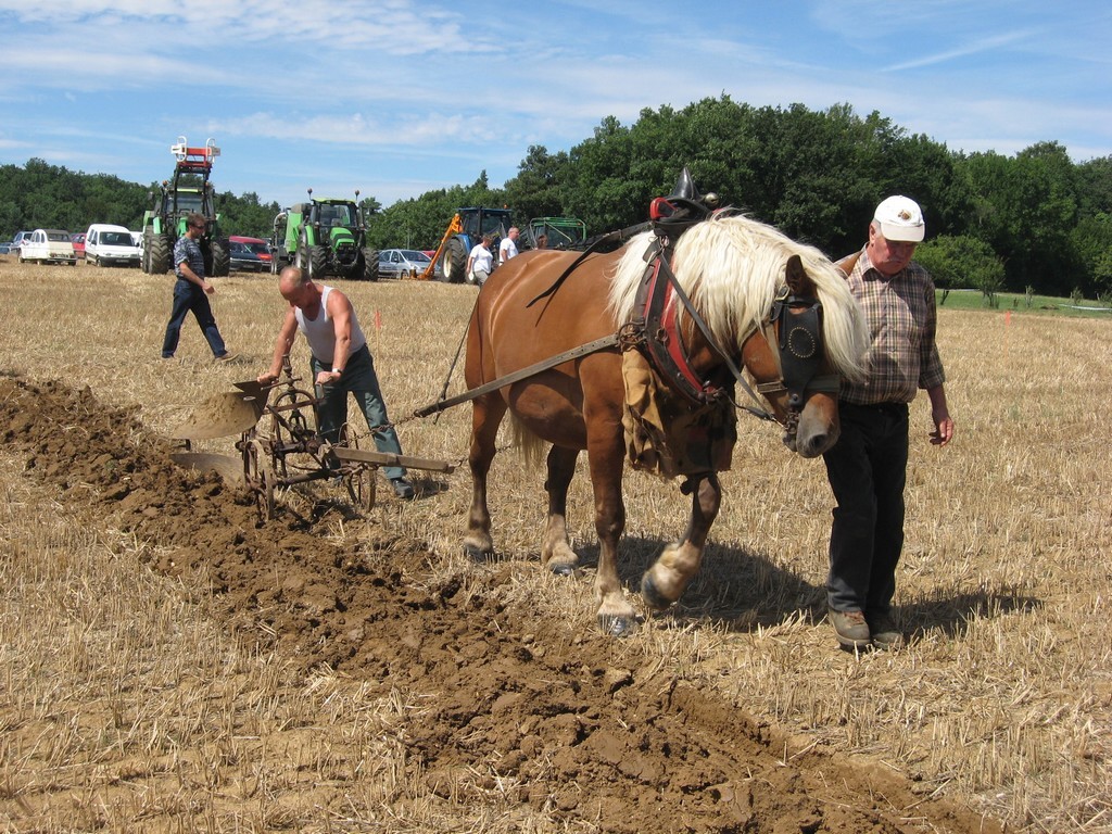 Antic Agri : le rassemblement des passionnés de l’agriculture d ...